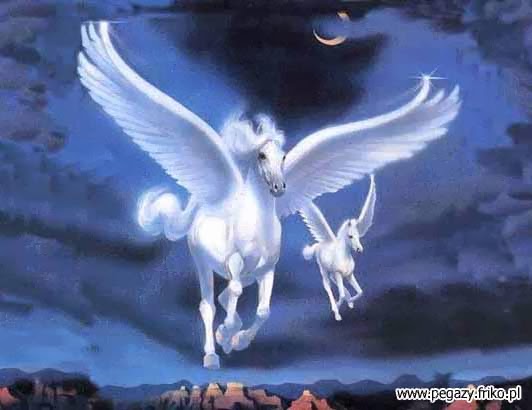 Zwierzakowo : Czy Jednorożce i Pegazy istnieję